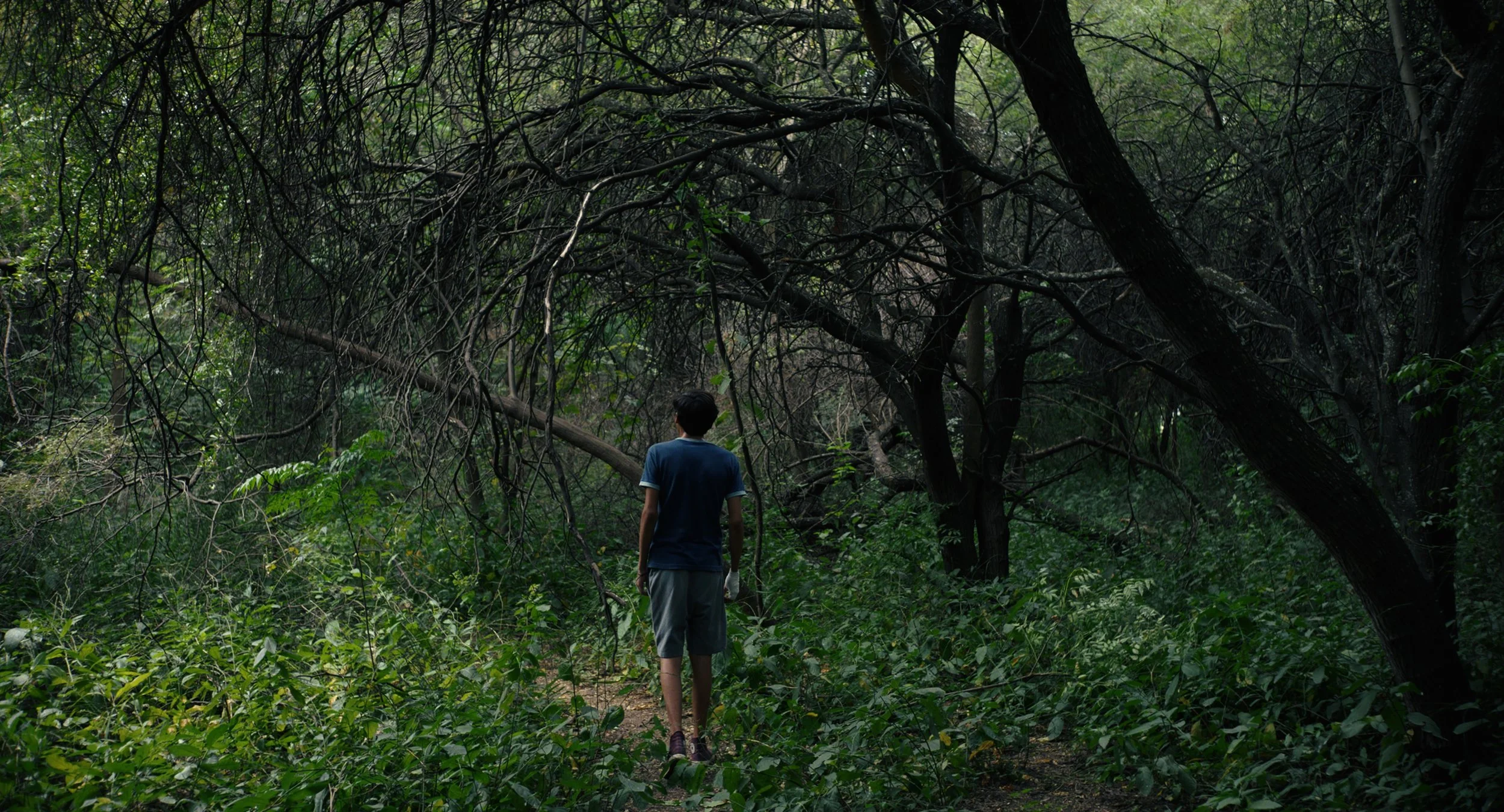 Almamula — Twins Latin Films