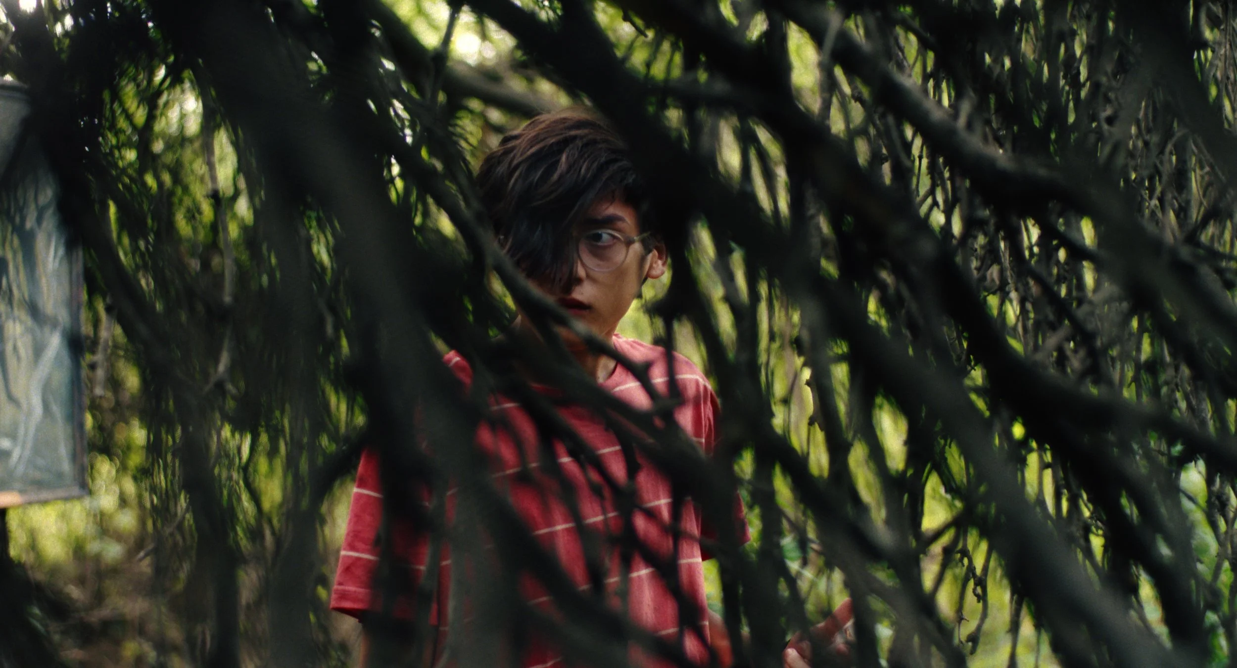 Almamula — Twins Latin Films