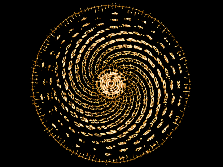 Cymatics | The influence of vibration and sound on human cells