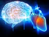 The Heart is a Brain | Learn to boost your heart-brain coherence