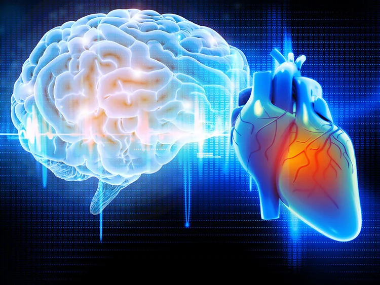 The Heart is a Brain | Learn to boost your heart-brain coherence