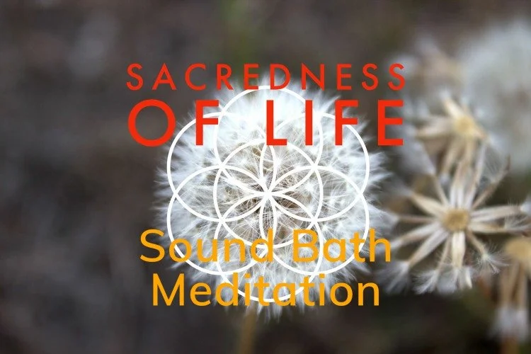 Sacredness of Life | Sound bath and gong meditation at The Port