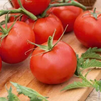 Légumes BIO — Jardins-de-Loire