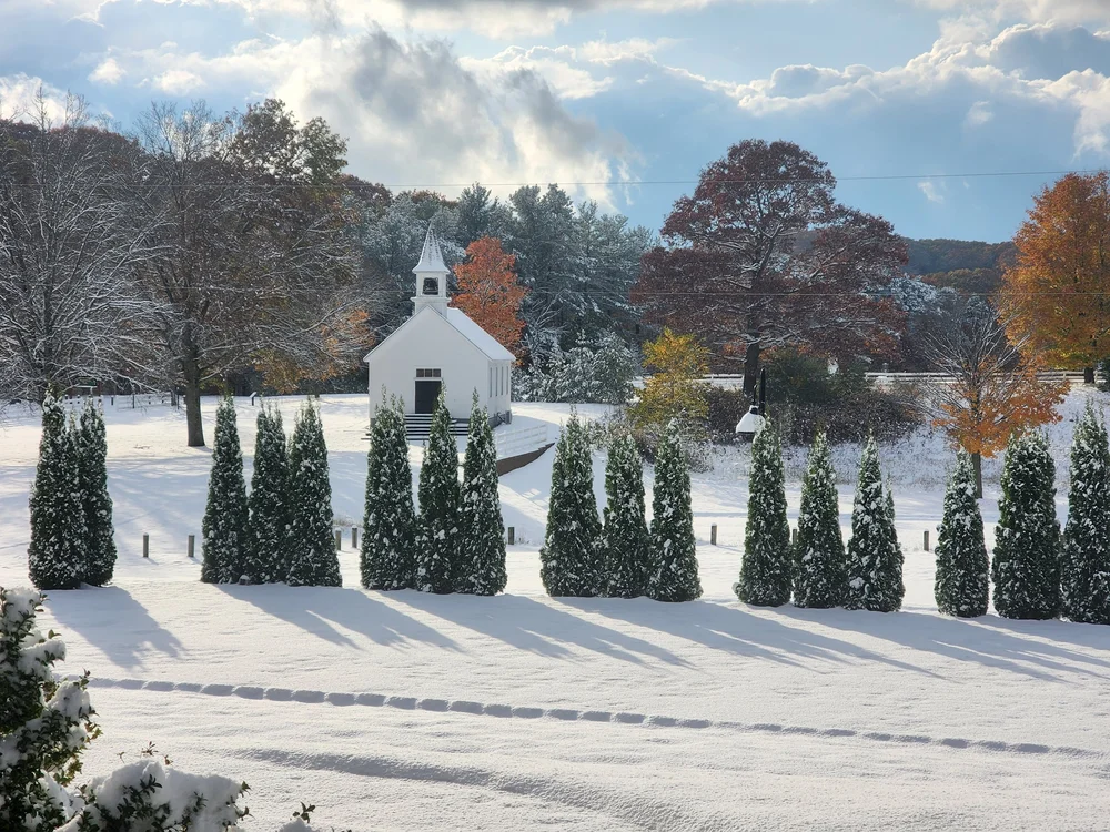 Plan Your Visit — The Felt Estate
