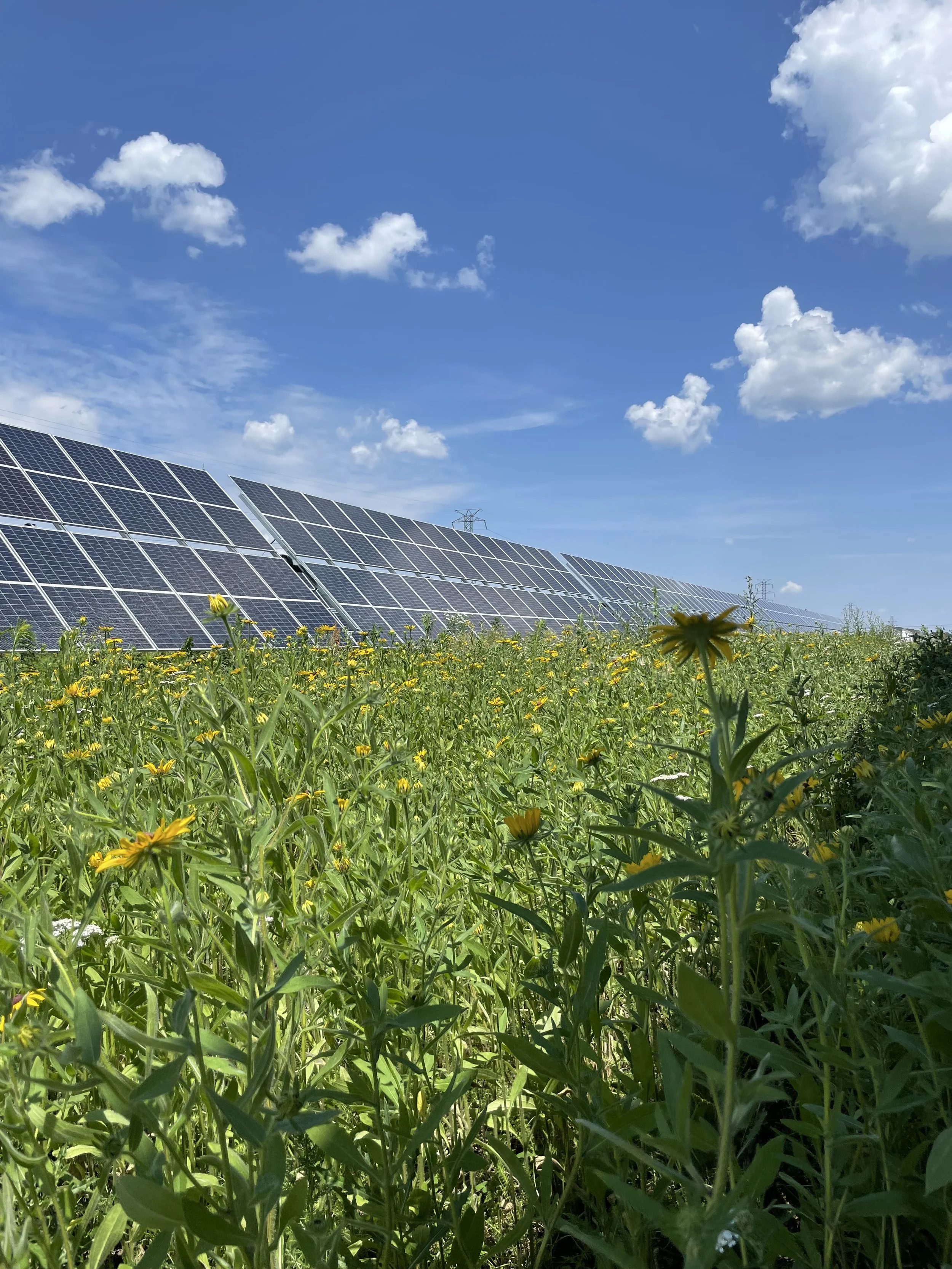 Heartland Ecological Group