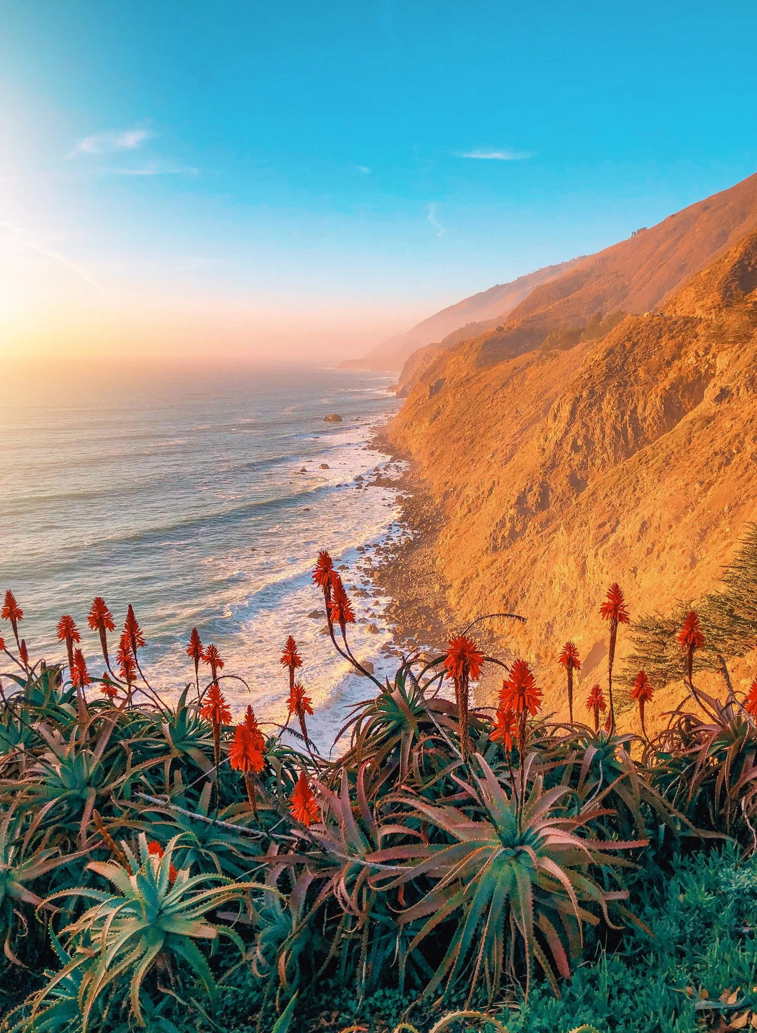 Big Sur Activity Guides — BigSurCali.com