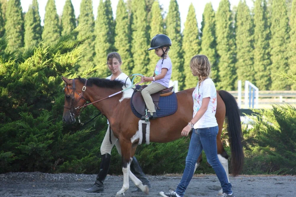 Center for Therapeutic Riding of the East End