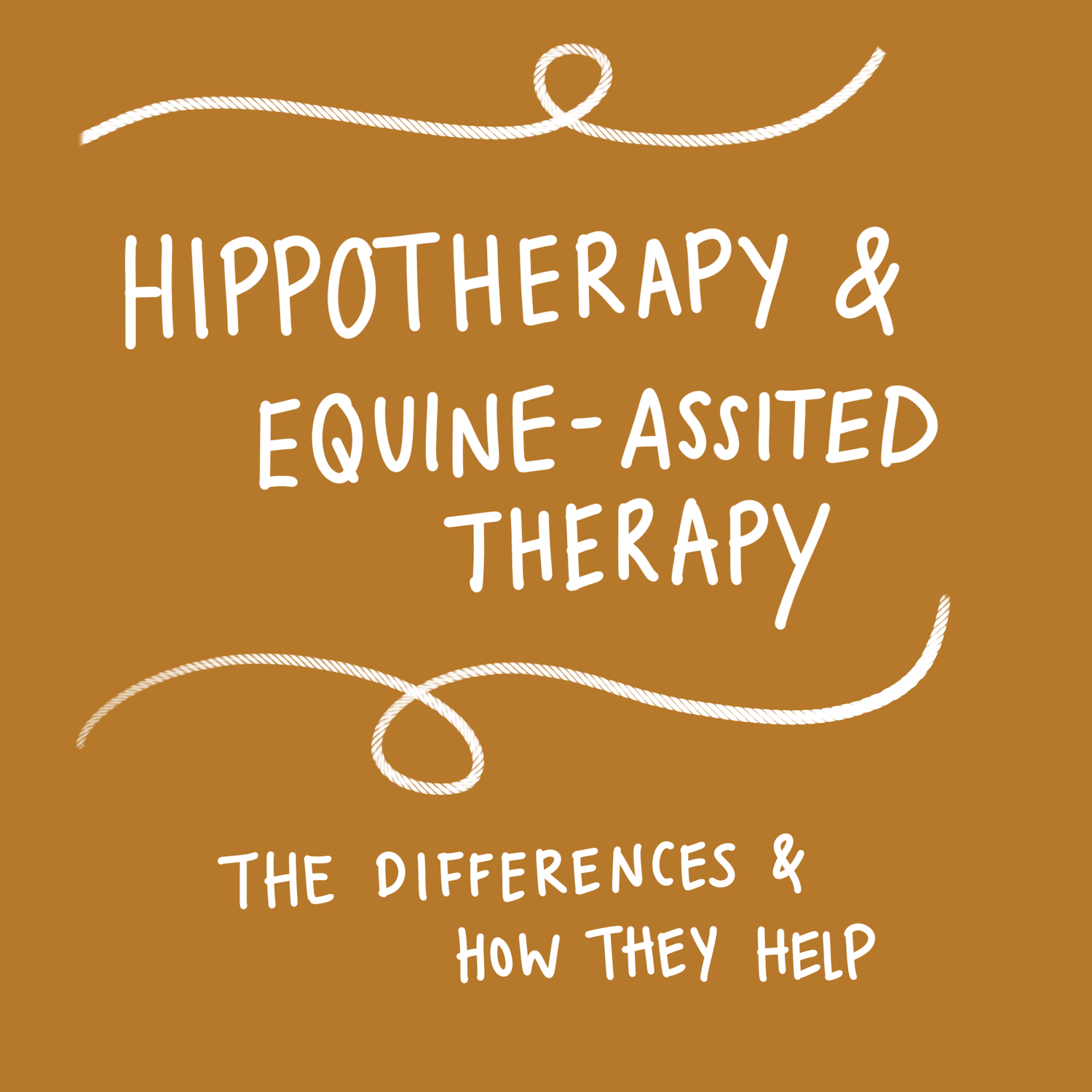 Sensory Research Infographics for Occupational Therapists Bundle — OT ...