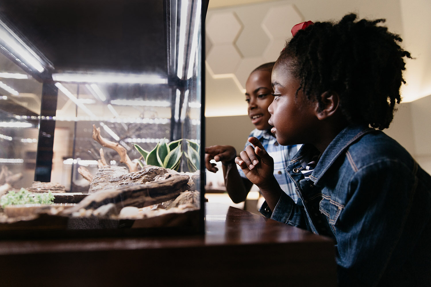 NYC Architecture Firm | SKOLNICK