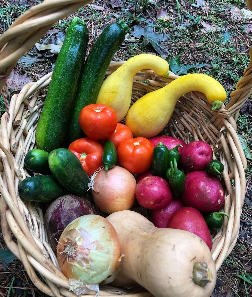 General 2 — Holland Botanical