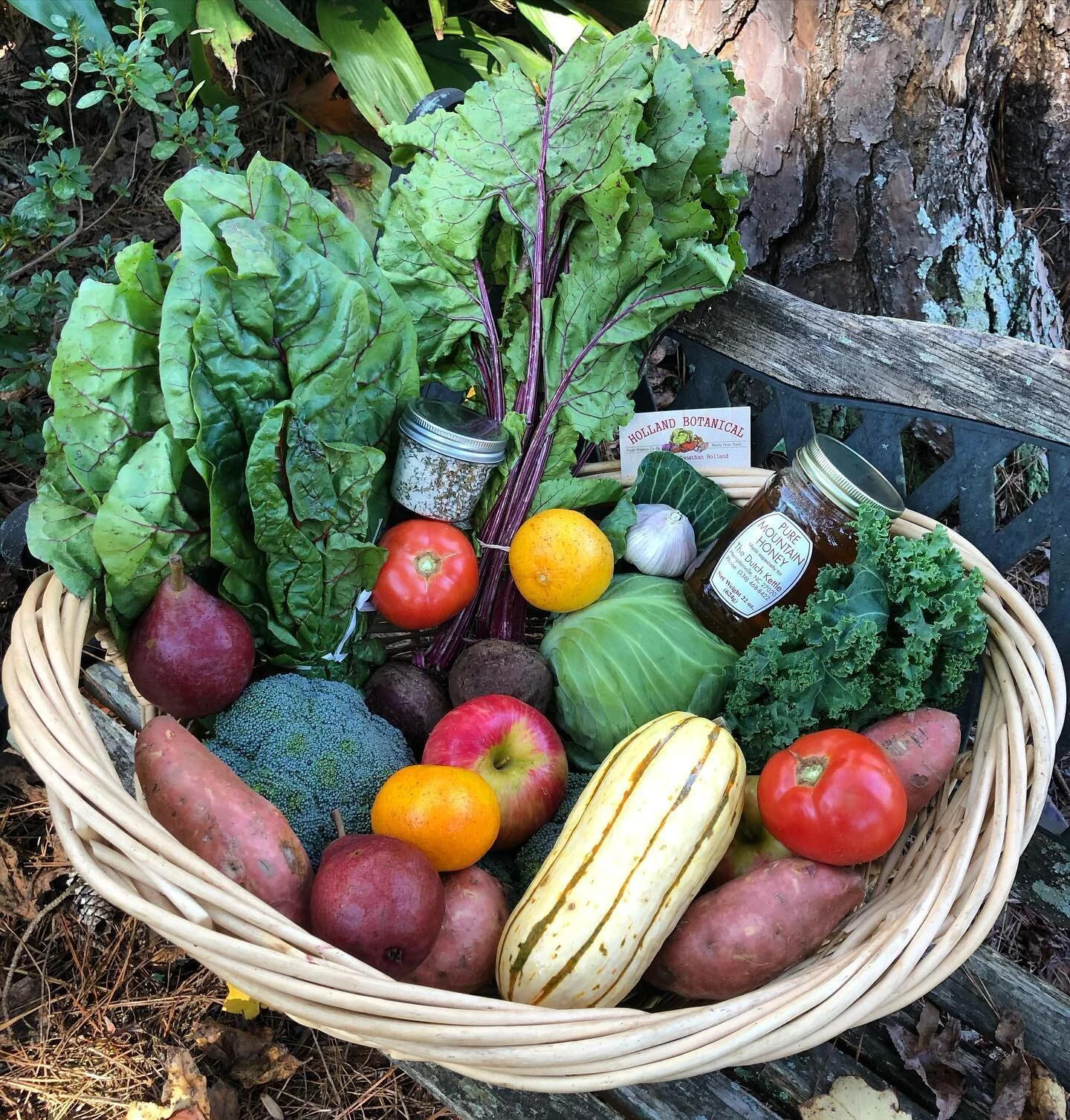 General 2 — Holland Botanical