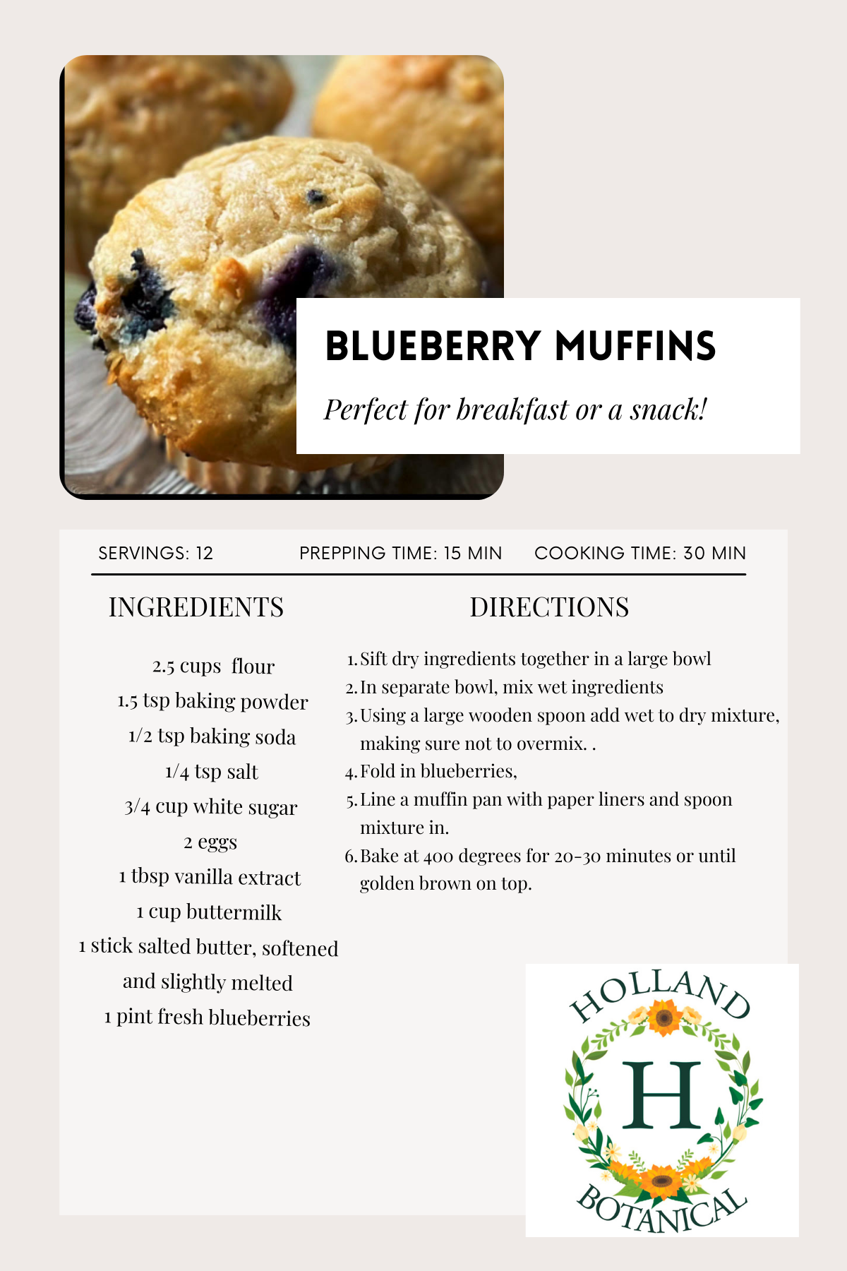 Buttermilk Blueberry Muffins — Holland Botanical