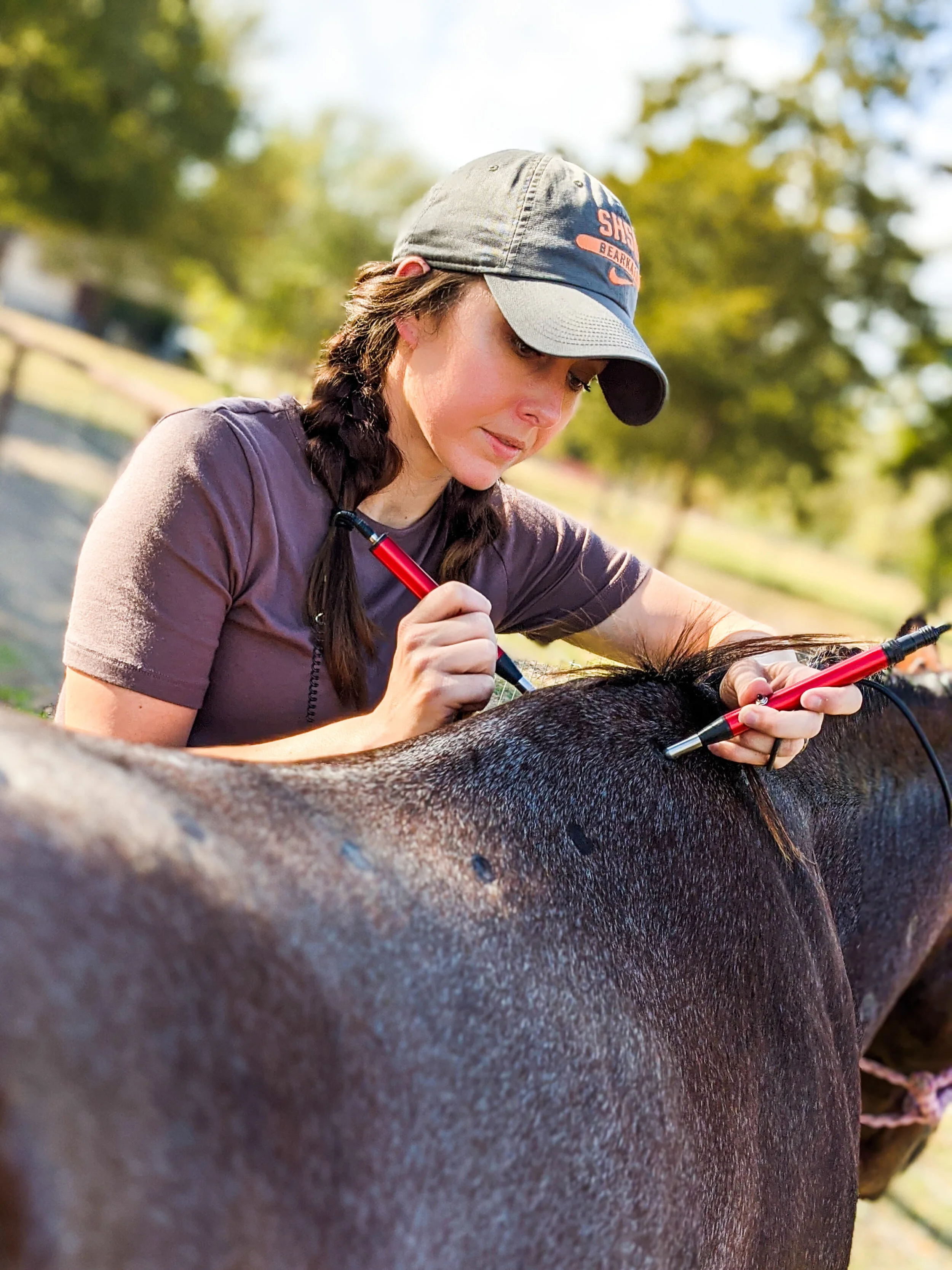 Equine Acuscope Therapy