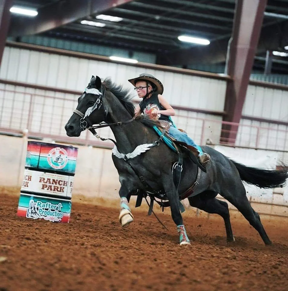 Team 1 — Equine Acuscope Therapy