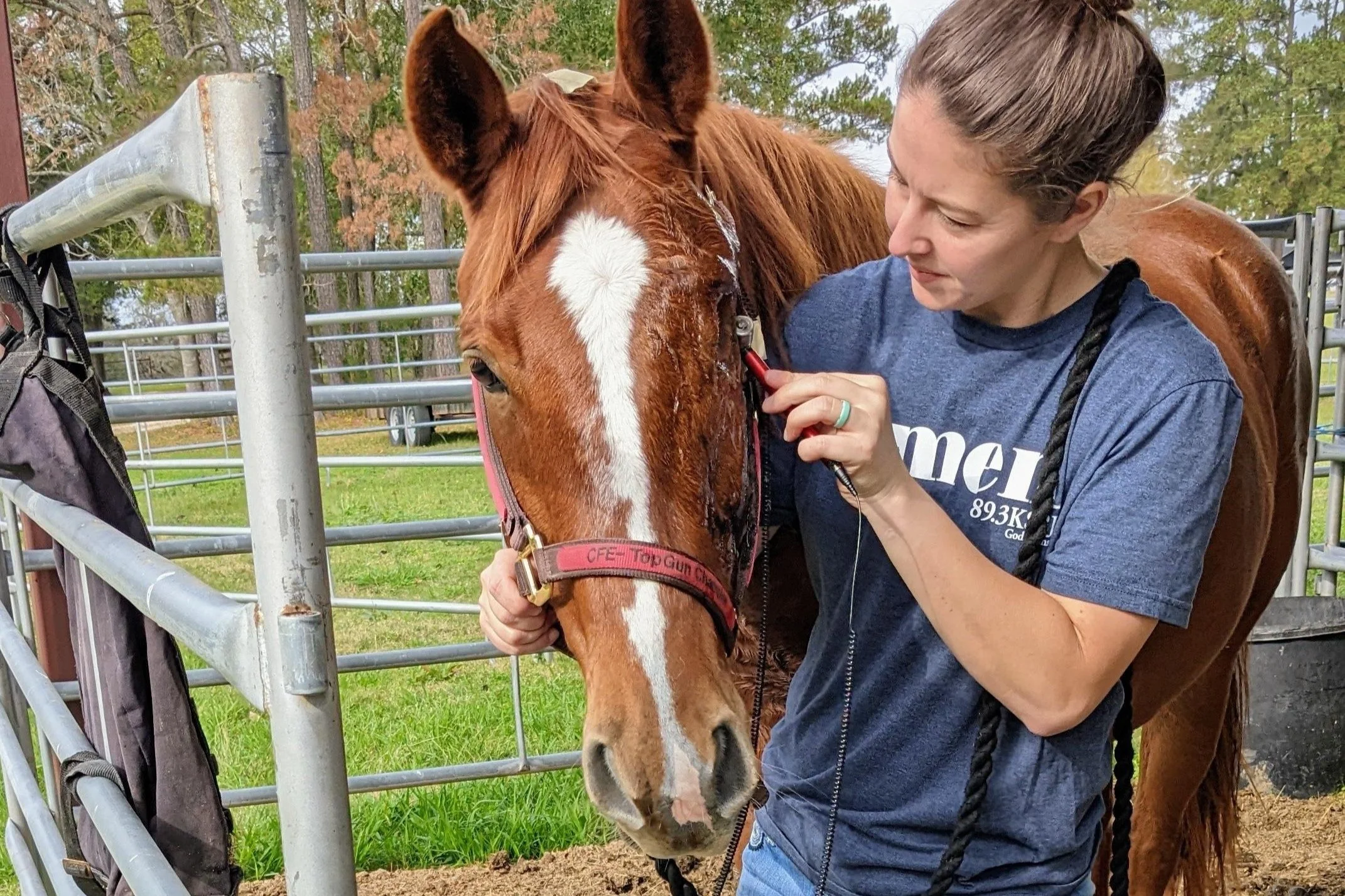 Equine Acuscope Therapy