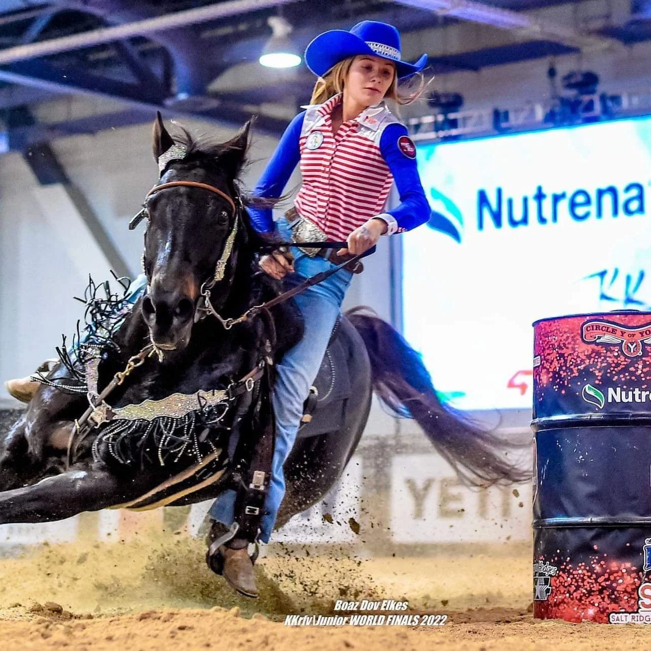 Team 1 — Equine Acuscope Therapy