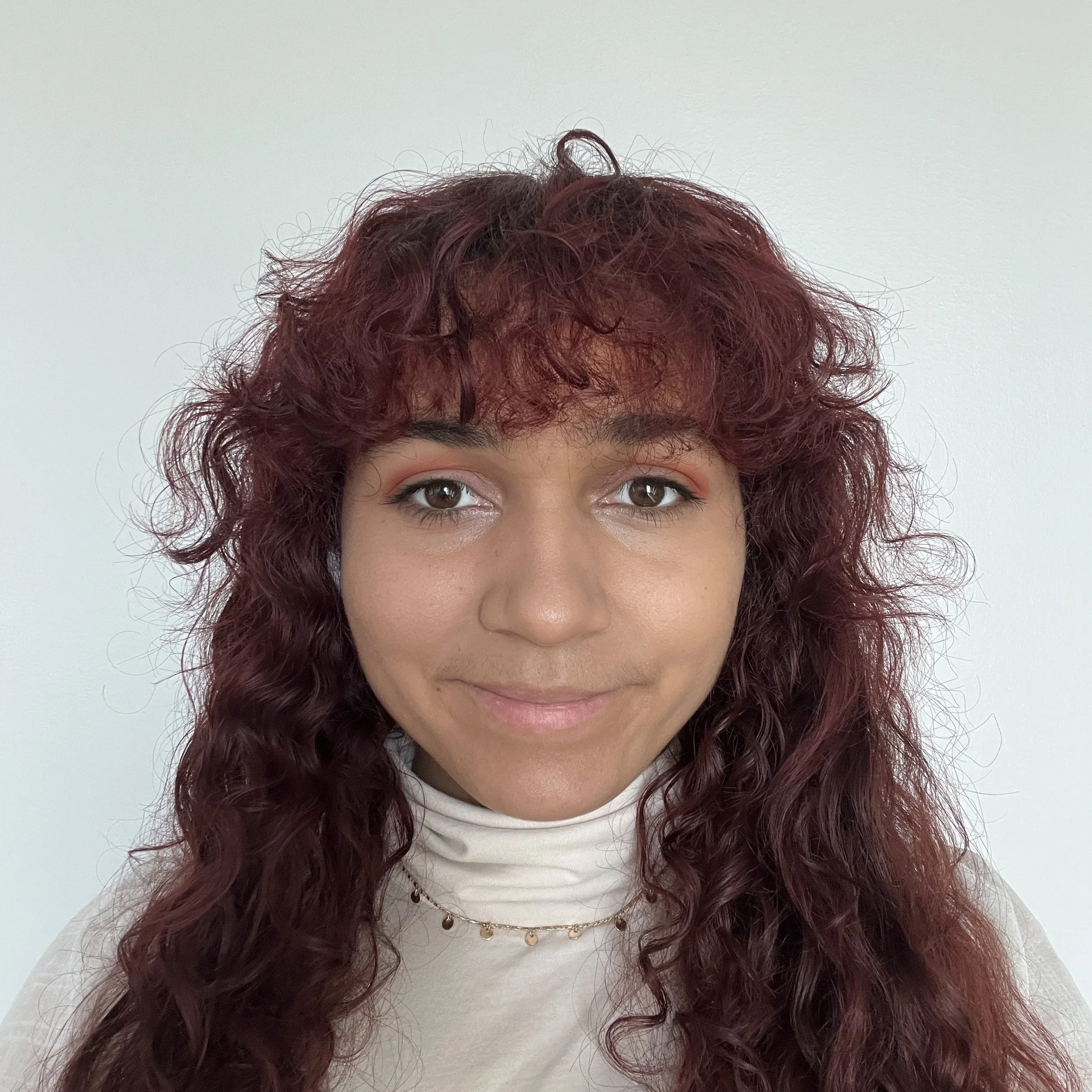 College Council Representatives — Undergraduate Student Government