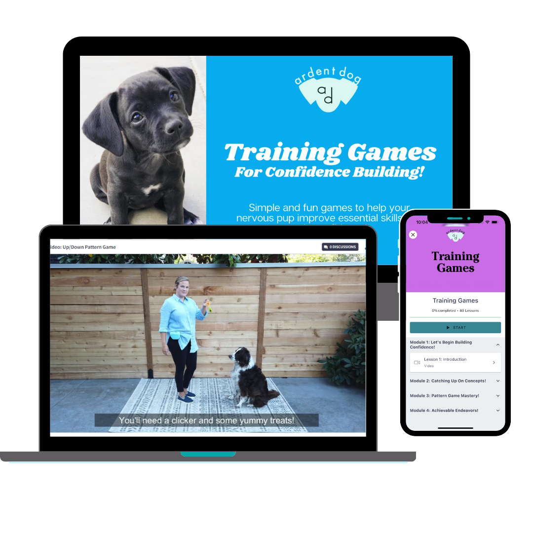 Training Games For Confidence Building Course — Ardent Dog Training