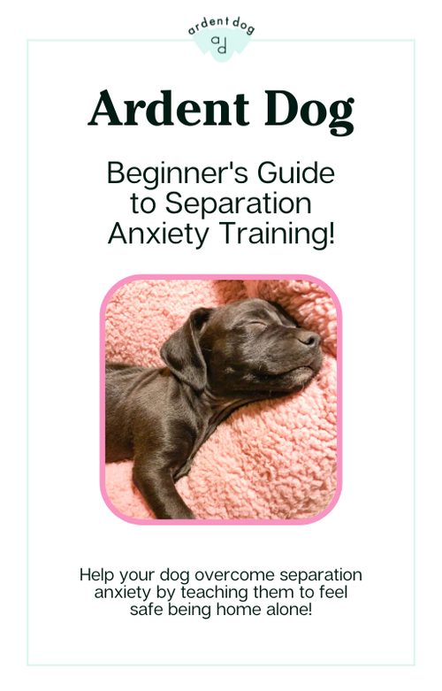 Separation Anxiety Training — Ardent Dog Training