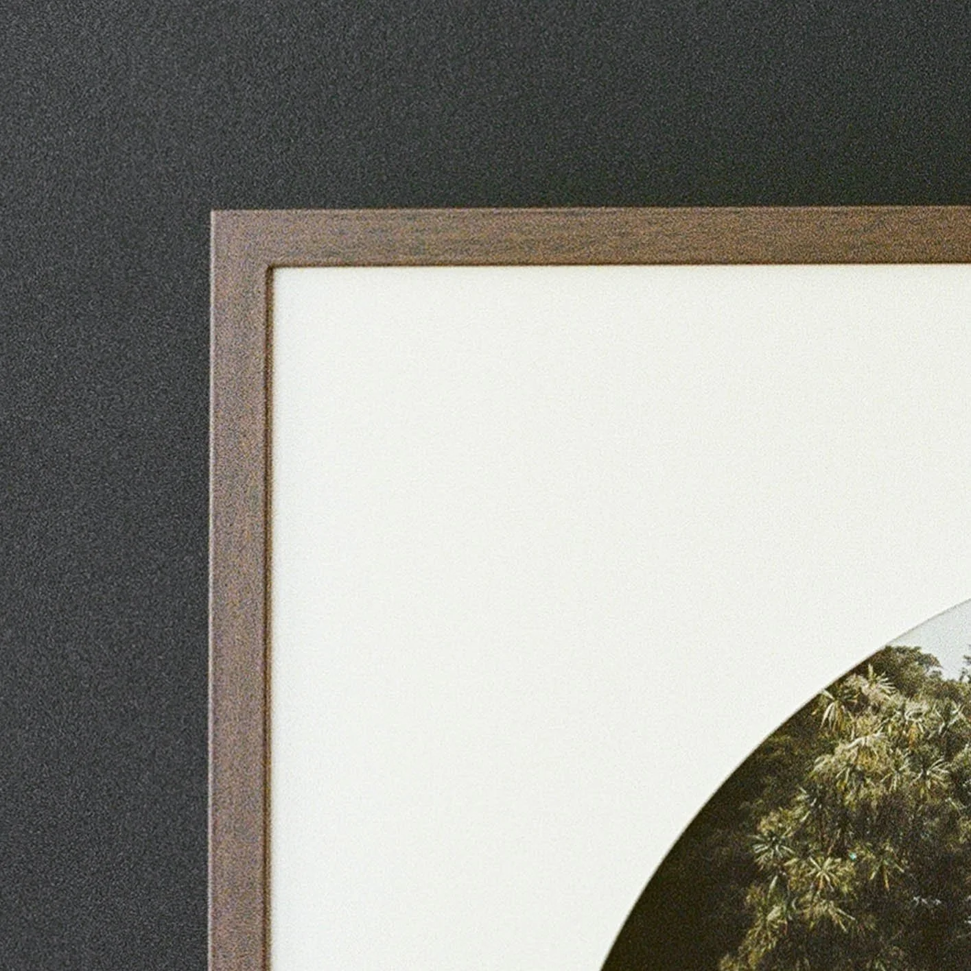 Frame Packages, everything included! — Atkins Lab