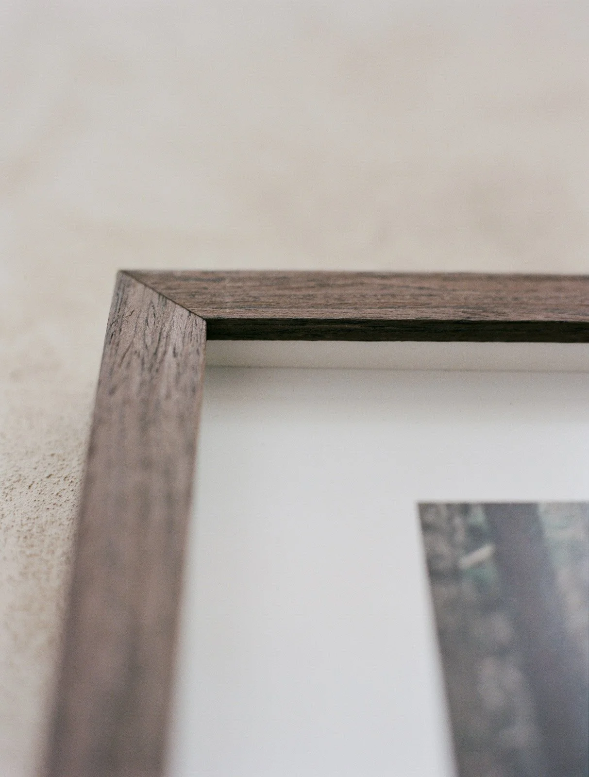 Emily — Atkins Lab