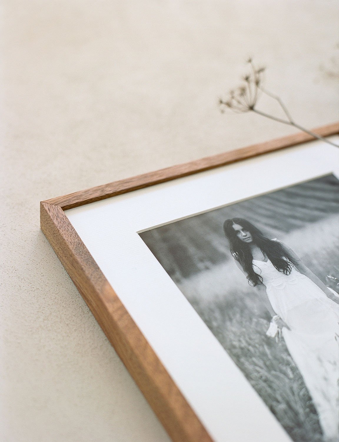 Anna Photo Frame Package — Atkins Lab