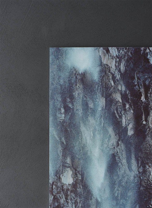 Daisy — Atkins Lab