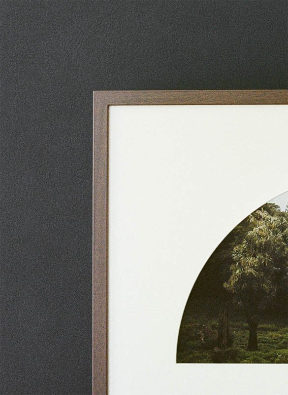 Daisy — Atkins Lab