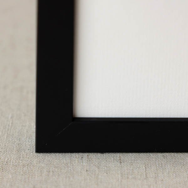 Anna Photo Frame Package — Atkins Lab