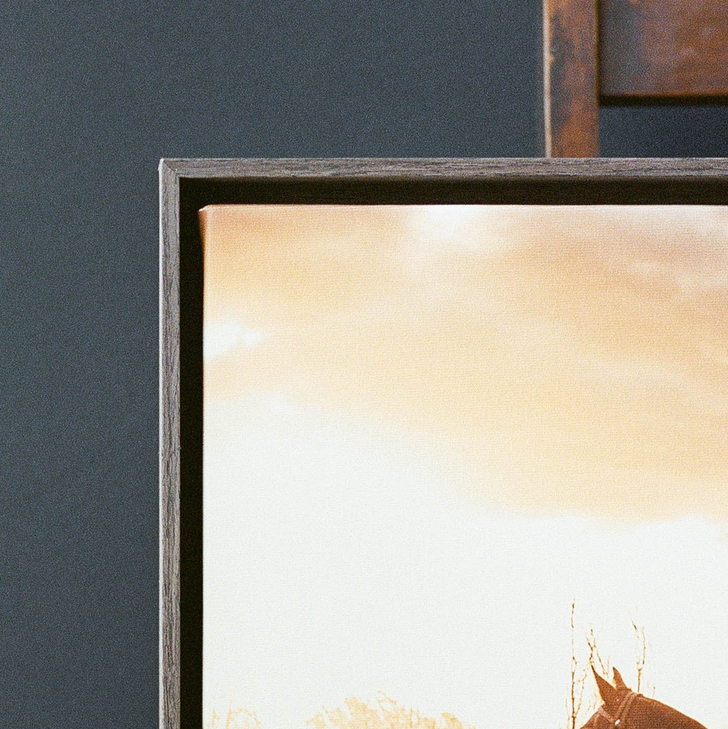 Frames — Atkins Lab