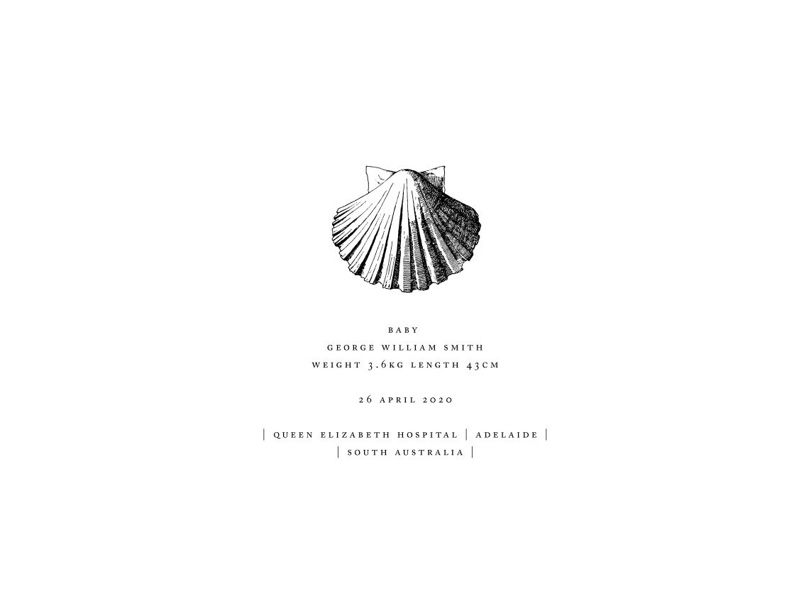 03-7 Calico scallop design for lay flat albums — Atkins Lab