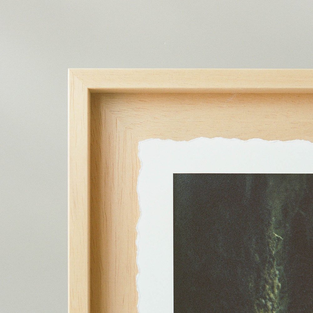 Frame Packages, everything included! — Atkins Lab