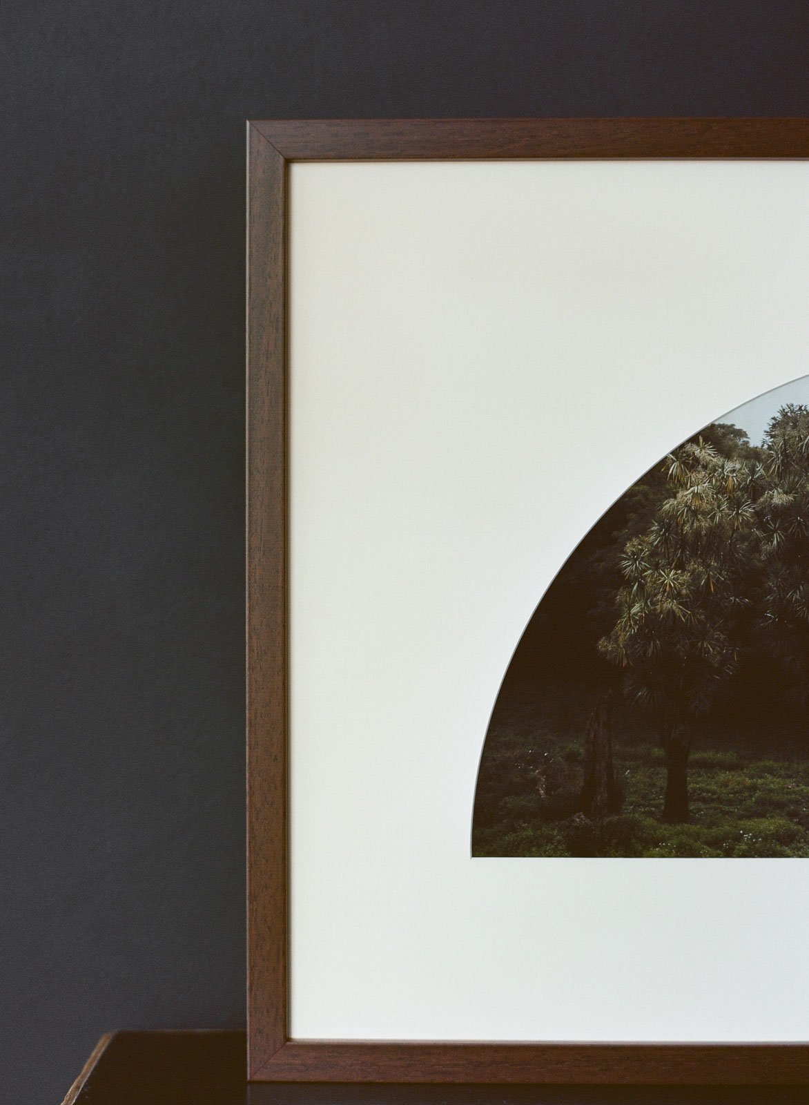 Annabel — Atkins Lab