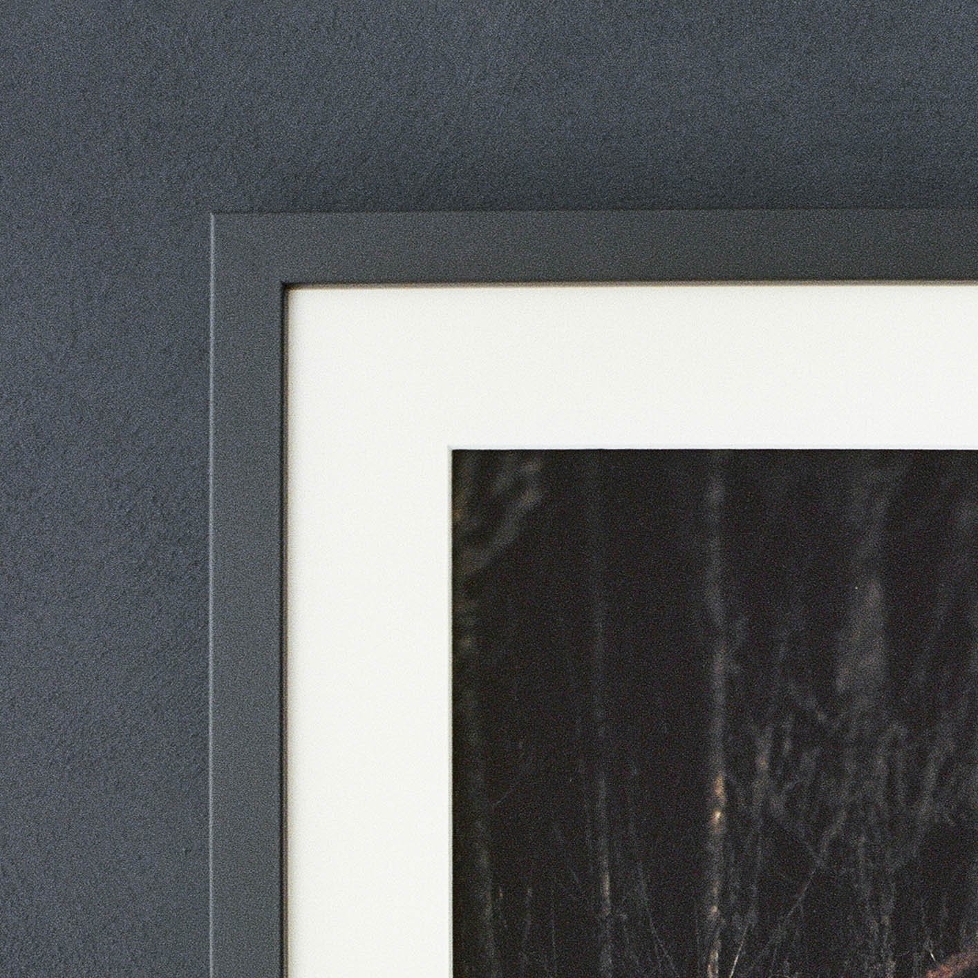 Frames — Atkins Lab