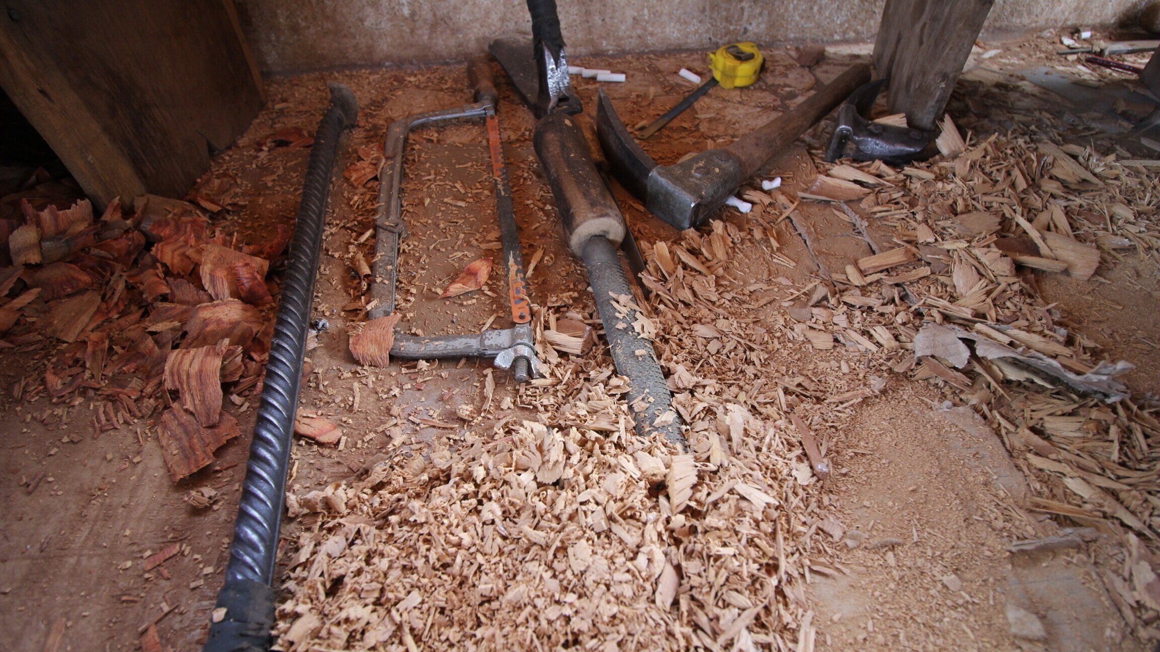 Wooden Roots