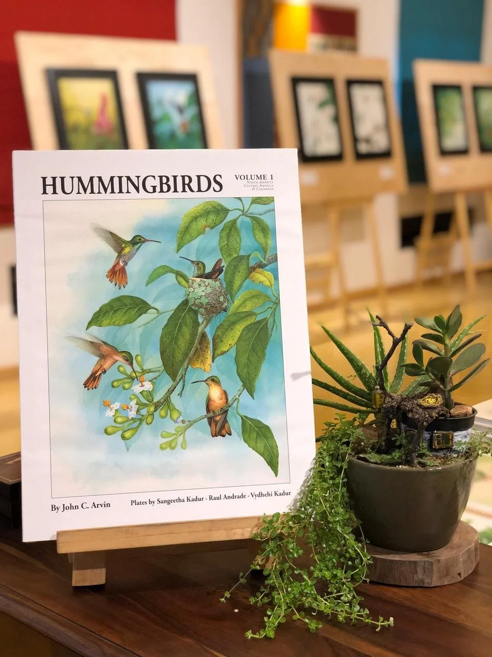 Hummingbird Conservation — Creature Conserve