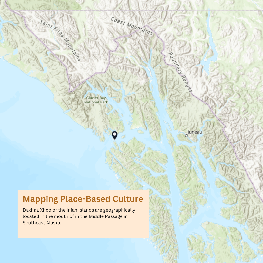 Anastasia Maier — Creature Conserve