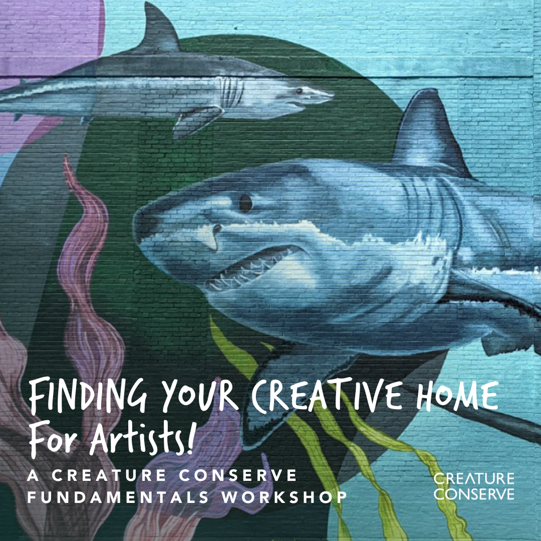 Workshop Schedule — Creature Conserve