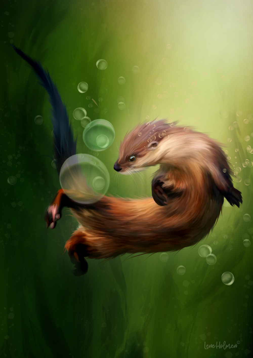 Otter Conservation — Creature Conserve