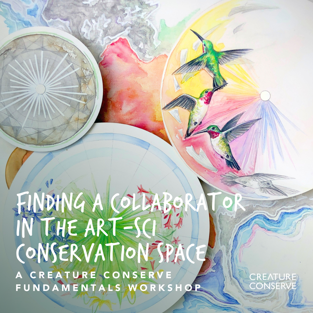 Workshop Schedule — Creature Conserve