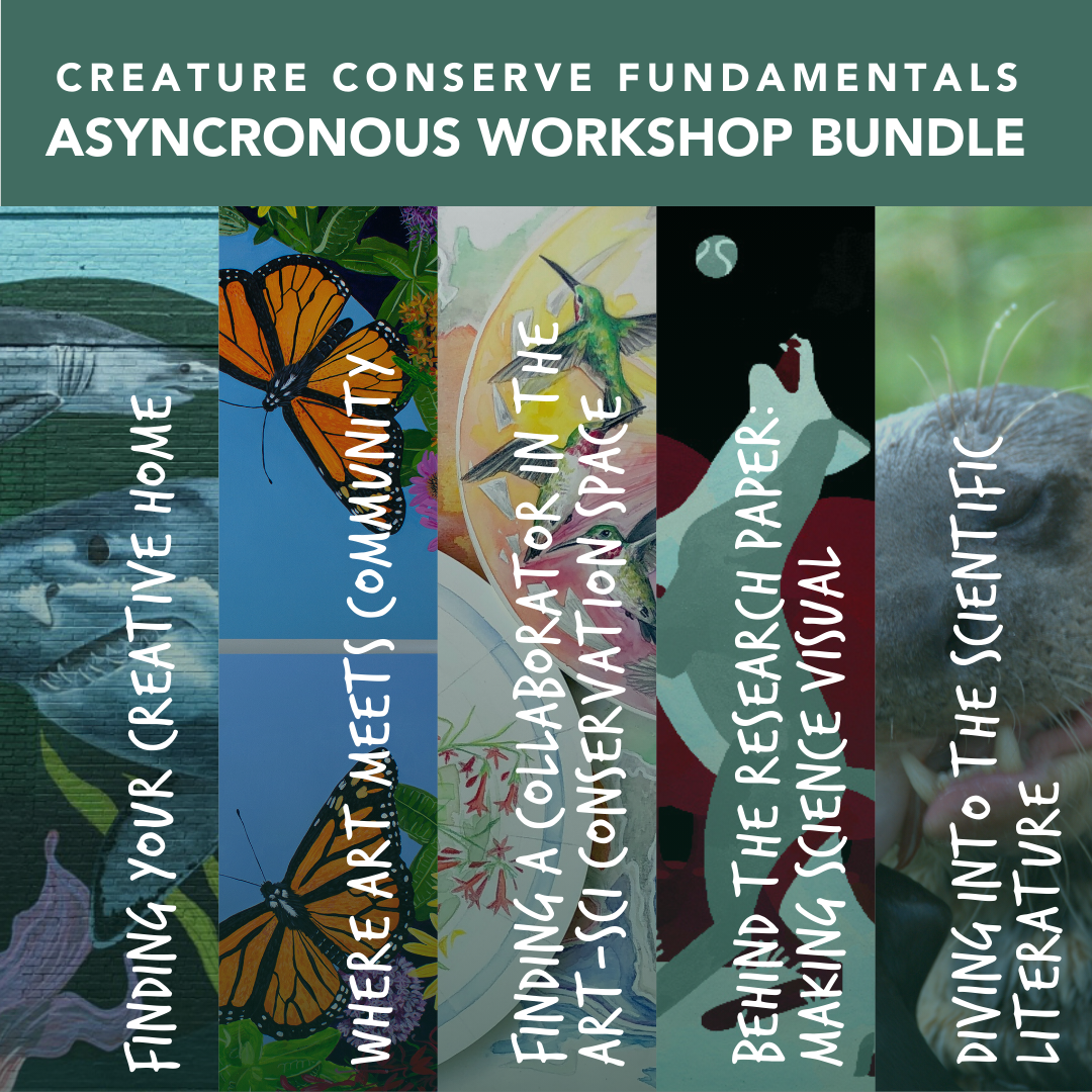 Workshop Schedule — Creature Conserve