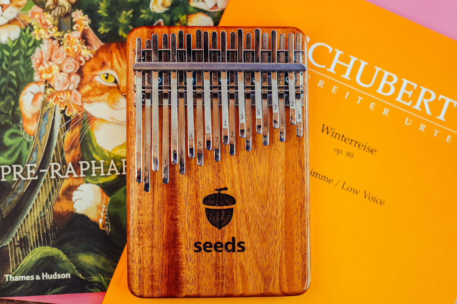 Clases de Kalimba