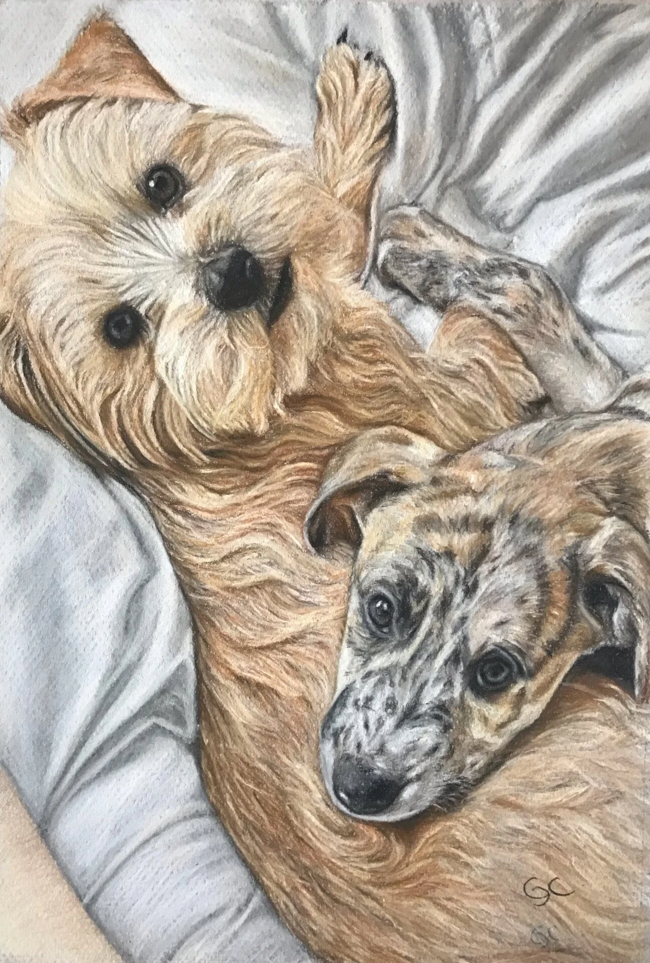 Grace Collett Art | Pet & Equestrian Art | Bespoke, photorealistic pet ...