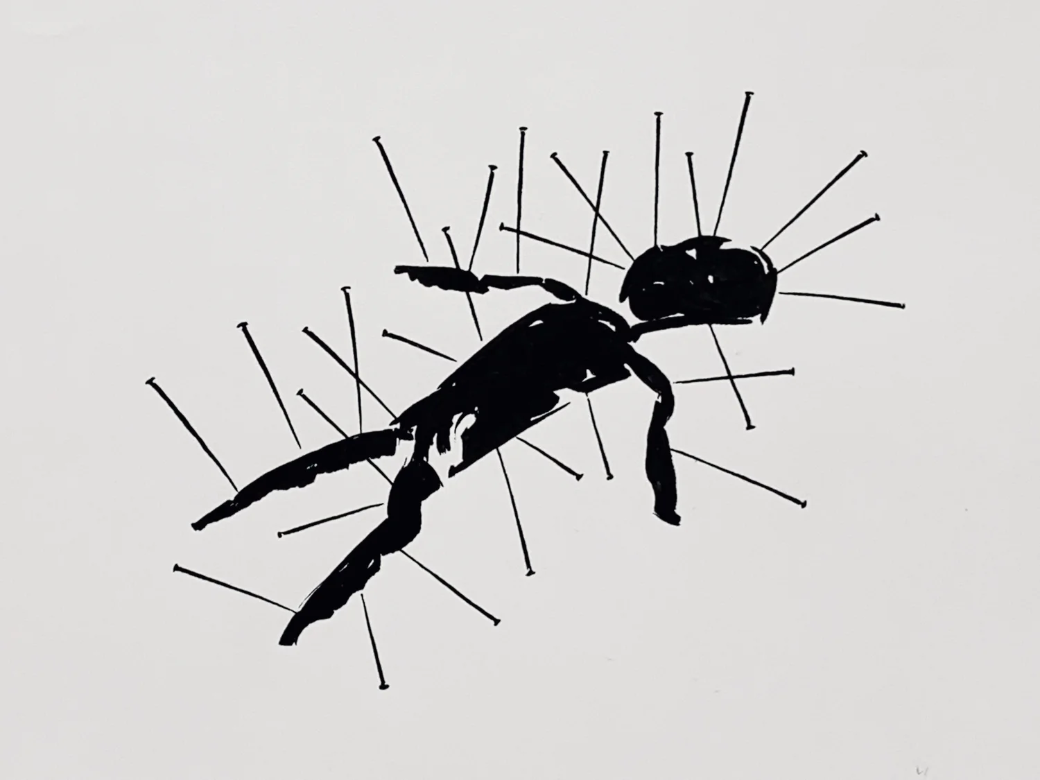 Tim Robertson — Tim Robertson 'Grimoire' Drawings & Prints