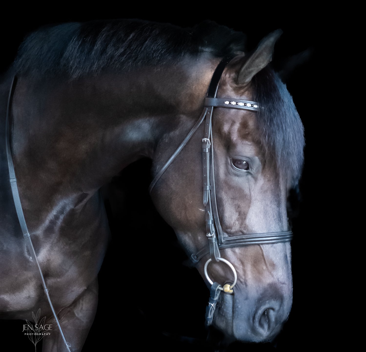 Jen Sage Photography