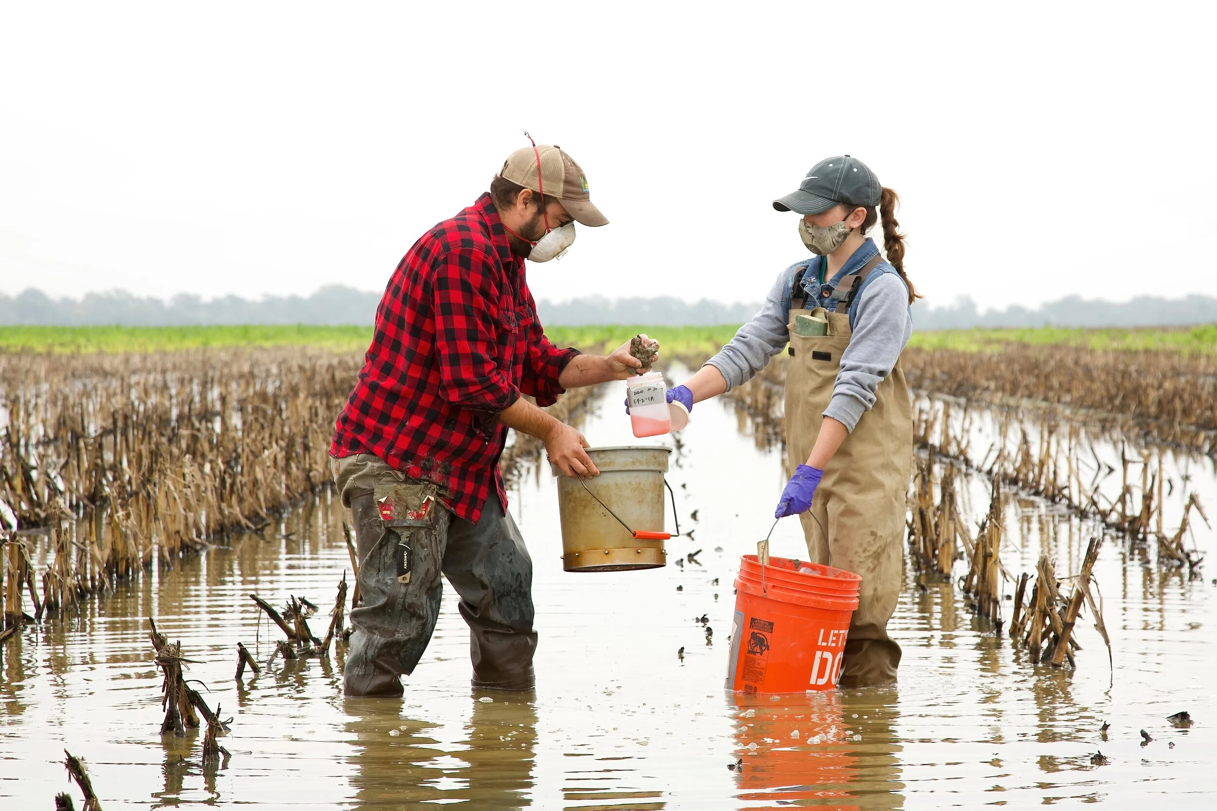 Habitat on Working Lands — Delta Wind Birds