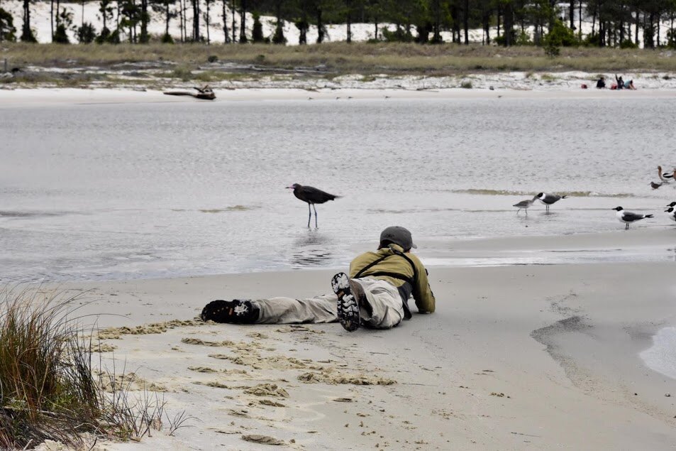 Store 2 — Delta Wind Birds