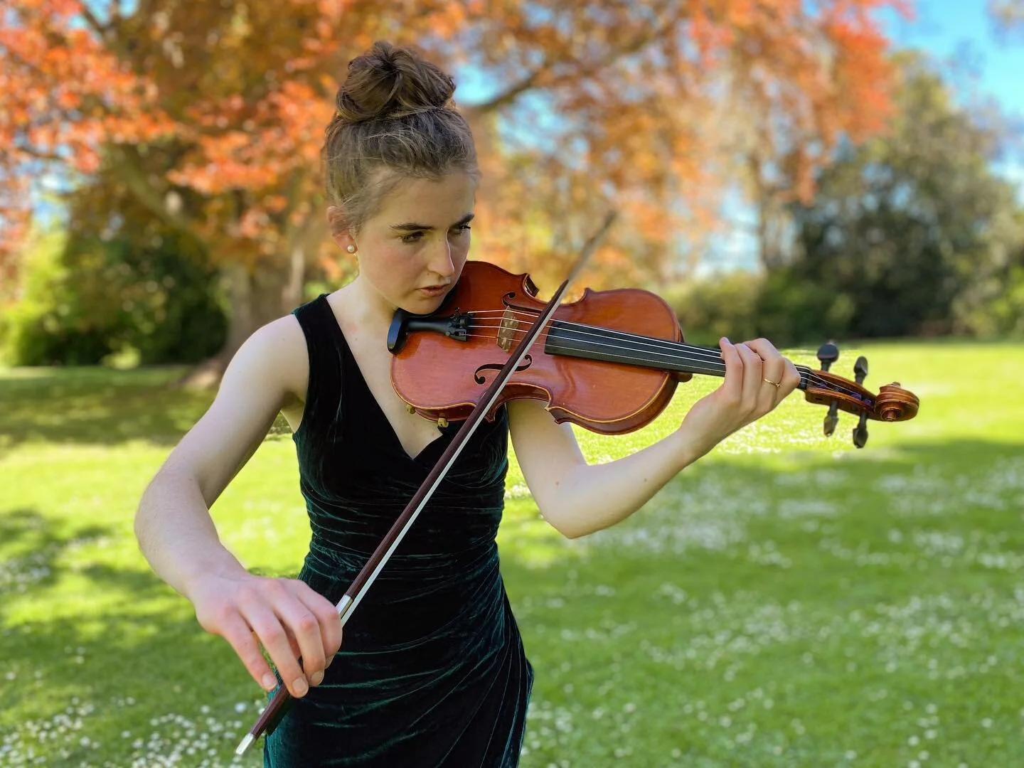 Rose Stevenson Violin