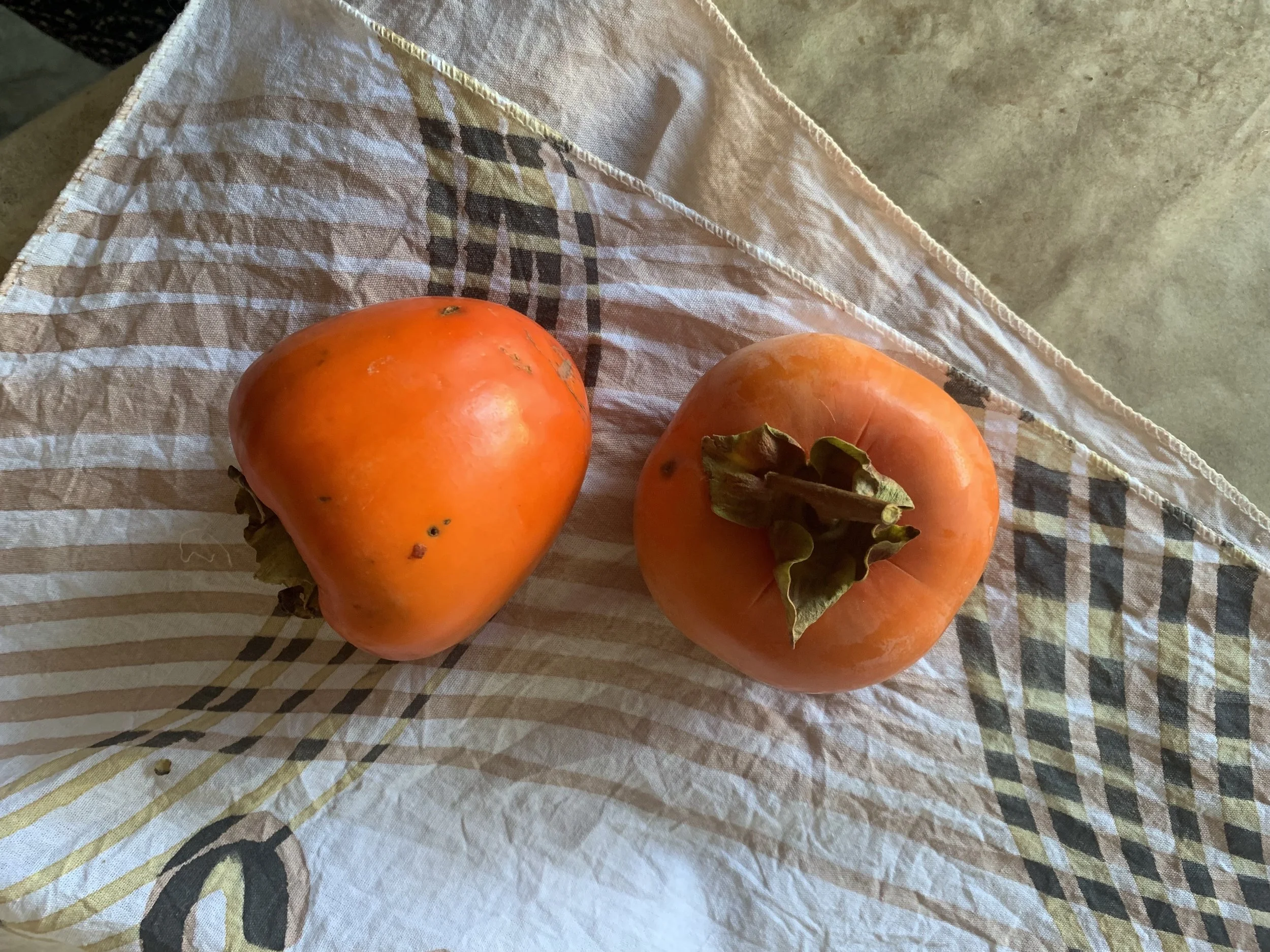 Hachiya Persimmons