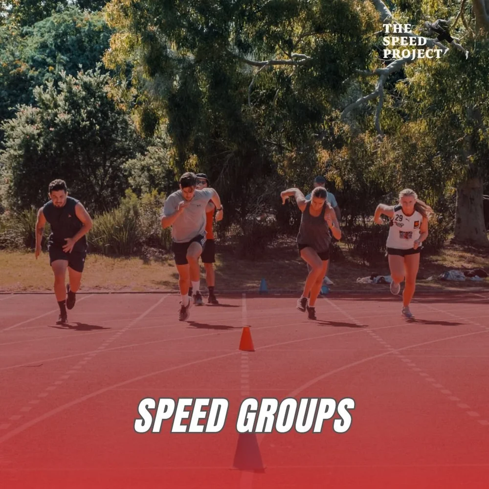 Services — The Speed Project